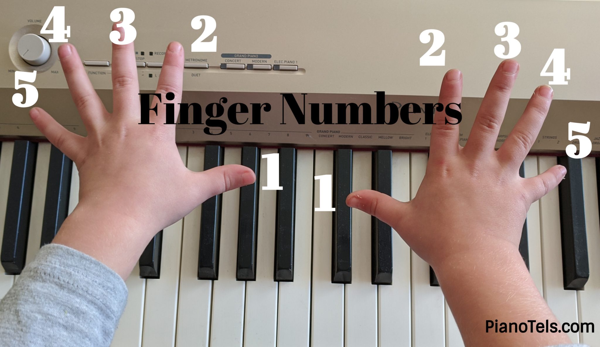 Where is Thumbkin (Finger 1)? | Free Piano Learning Activity ...